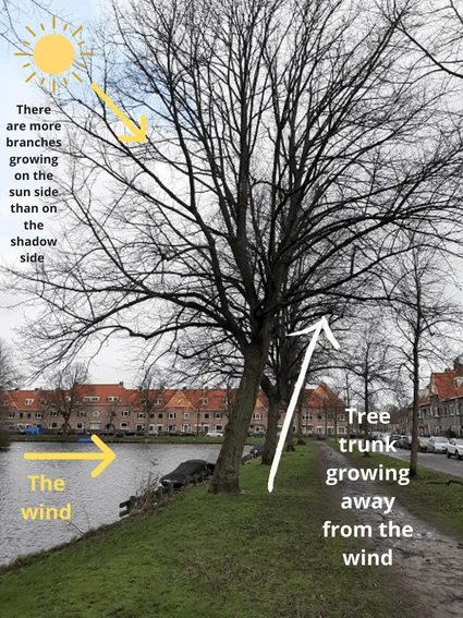 Nature As Your Compass: Learn To Navigate With Nature 🌿 - The Soul ...